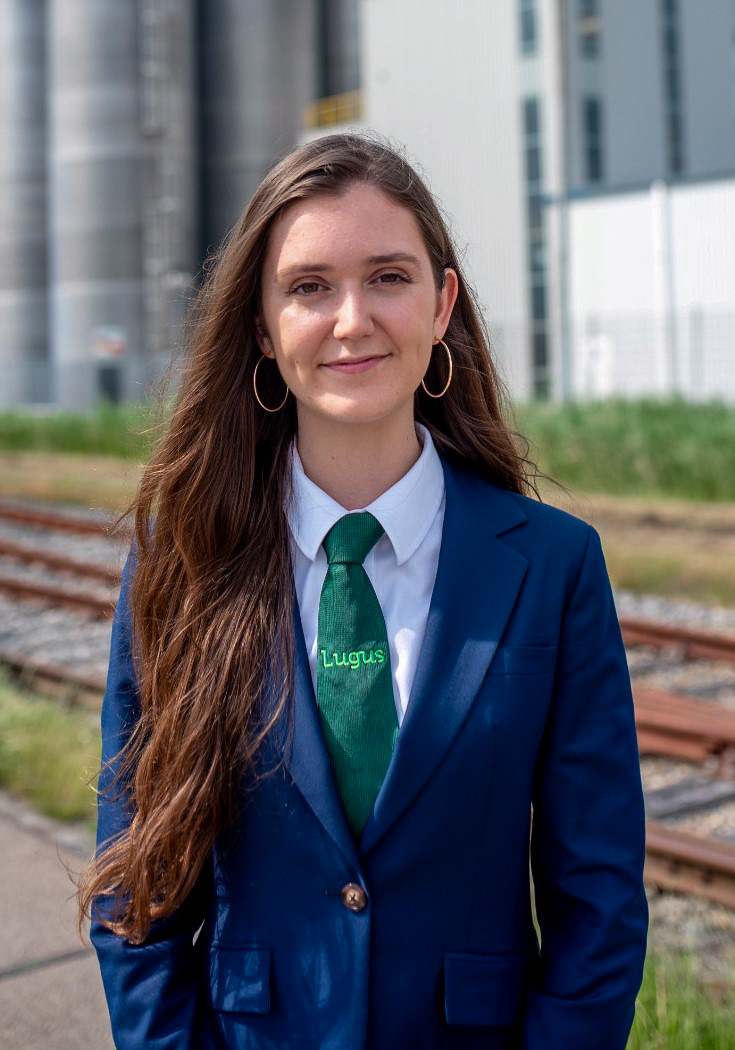 Lugus - Current board